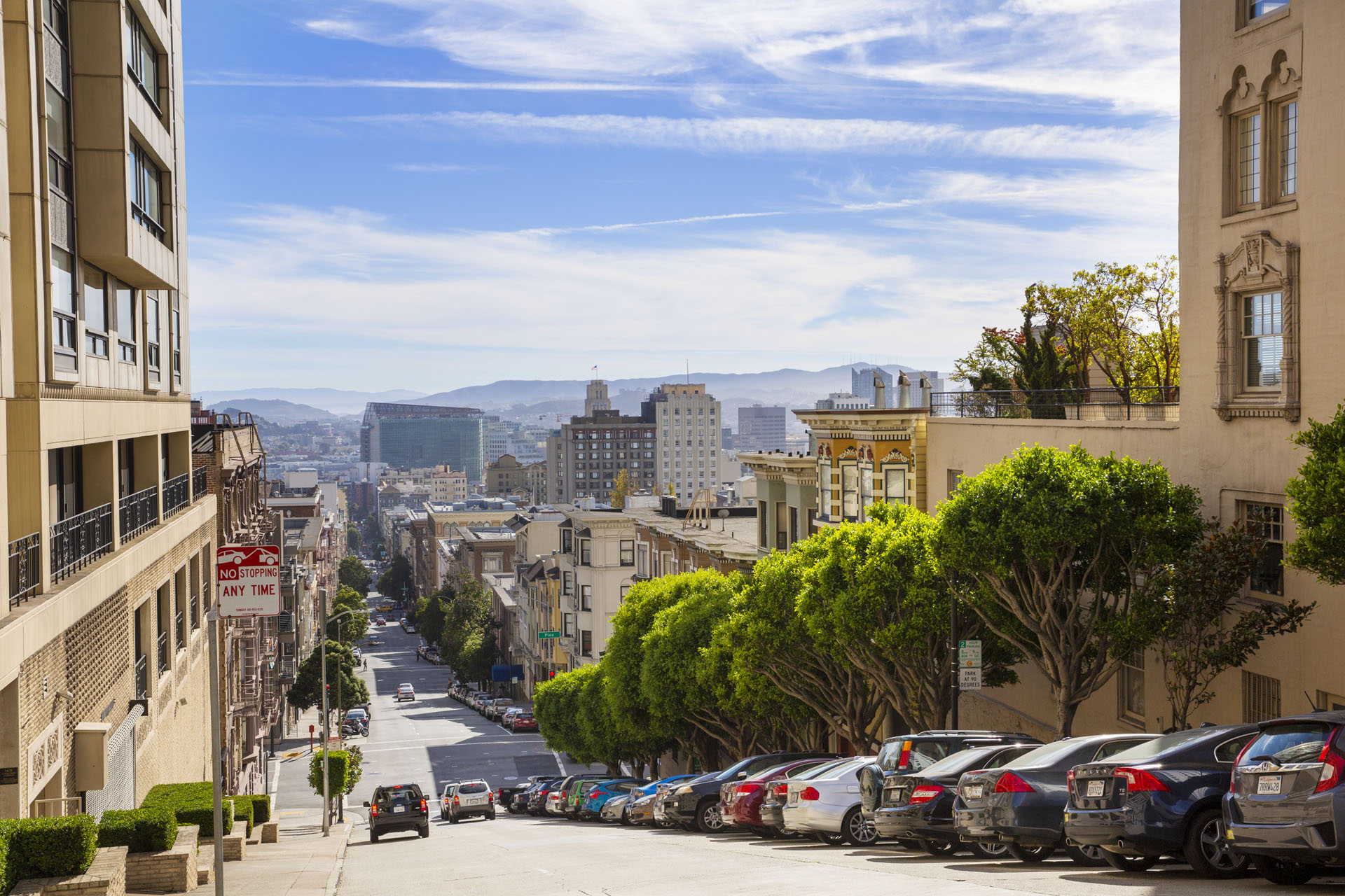 Lower Nob Hill RentSFNow