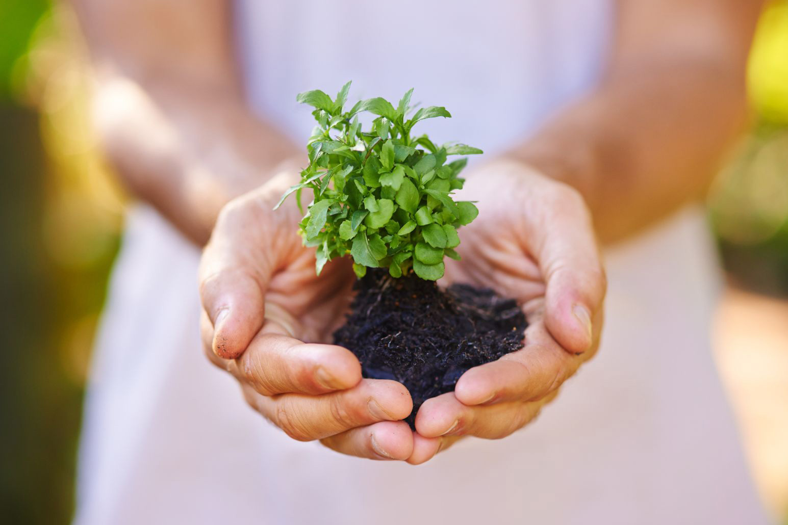 Going Green and Staying Sustainable – RentSFNow